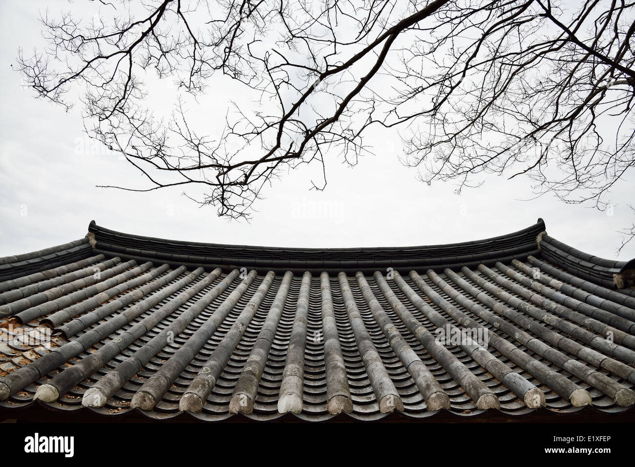 detail of Korean traditional tiled roof and branches Stock Photo - Alamy