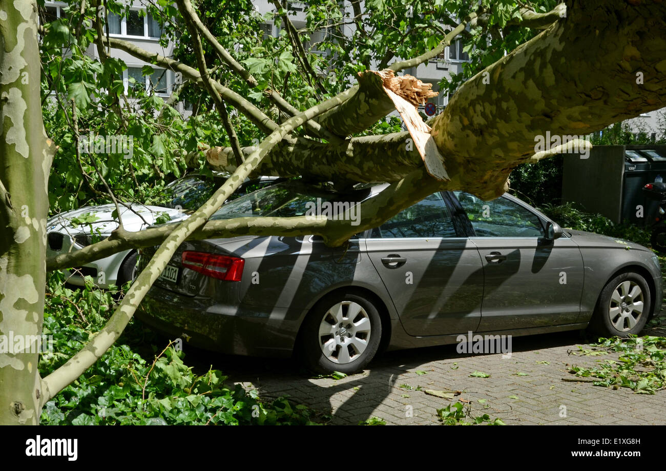 Duesseldorf, Germany. 10th June, 2014. An uprooted tree lies on a car ...