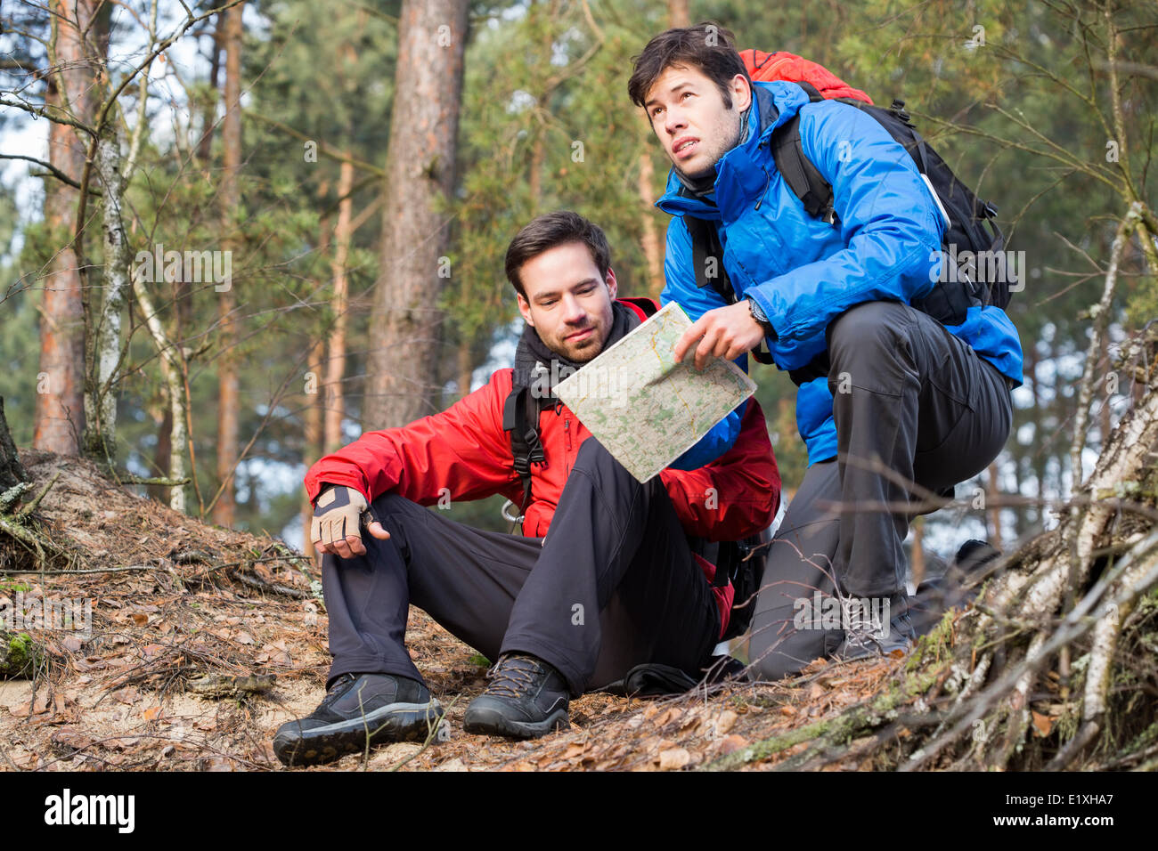 Map of forest hi-res stock photography and images - Alamy