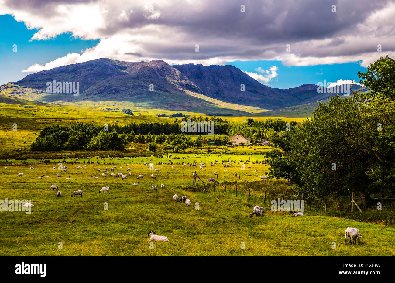 Ireland, Galway county, landscape of the Connemara area Stock Photo - Alamy