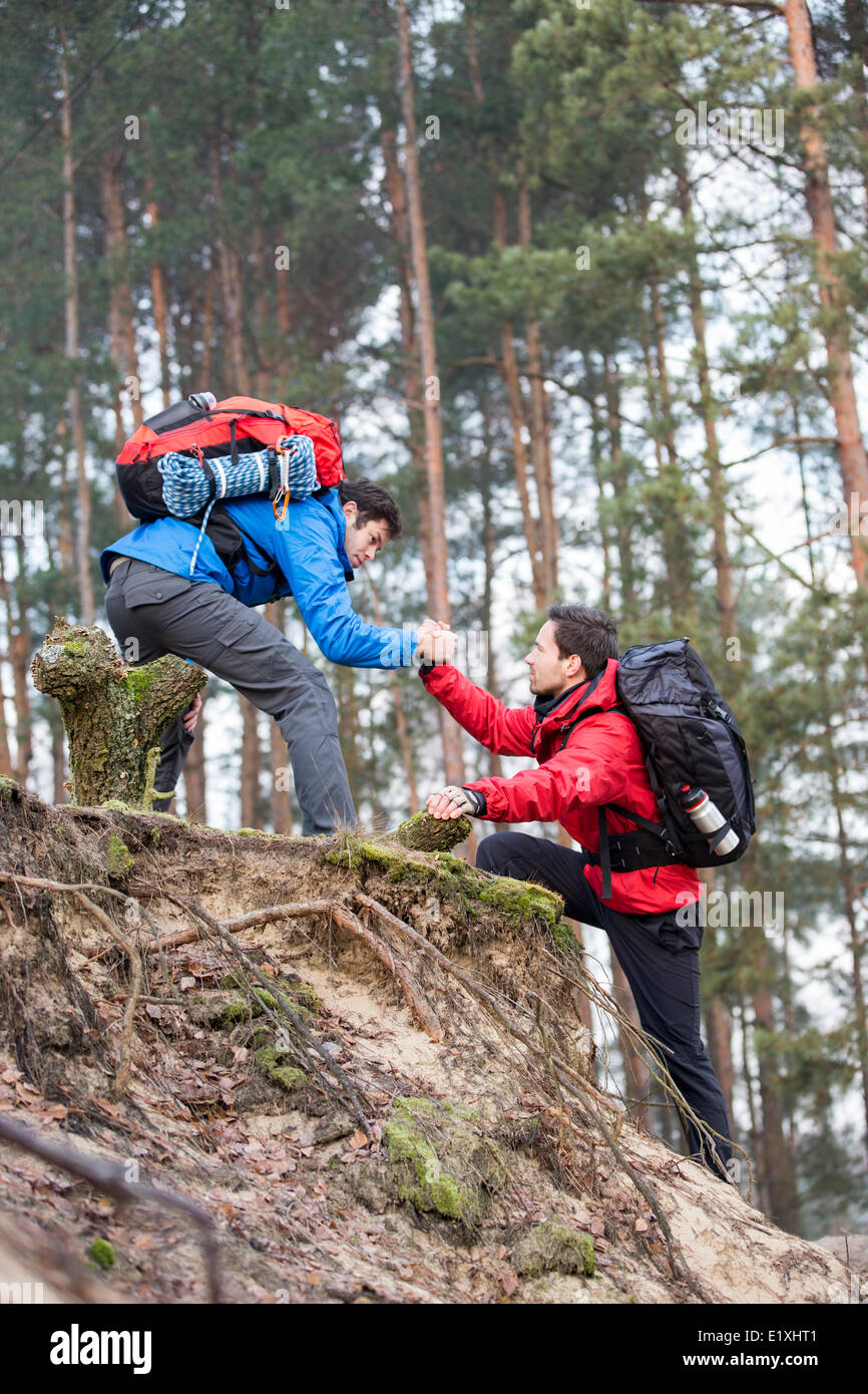 Young backpacker assisting friend while hiking in forest Stock Photo ...