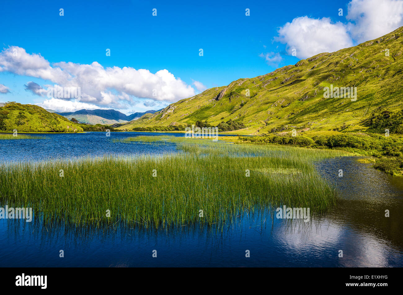 Ireland, Galway county, Connemara area, the Leenane lake Stock Photo ...