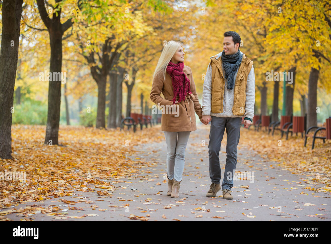 Couple holding hands while walking in park during autumn Stock Photo ...