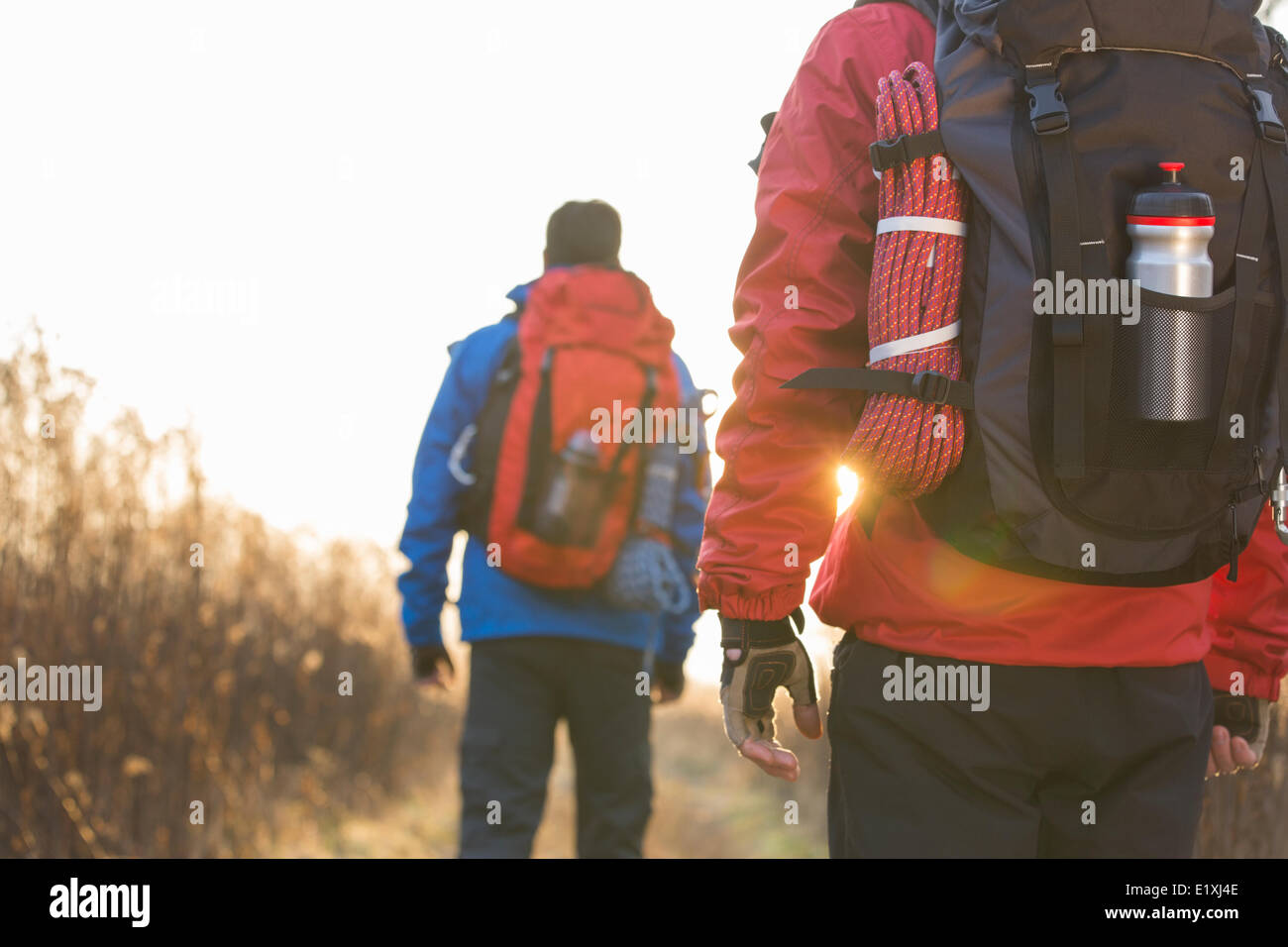 Rear view of male backpackers walking in field Stock Photo - Alamy