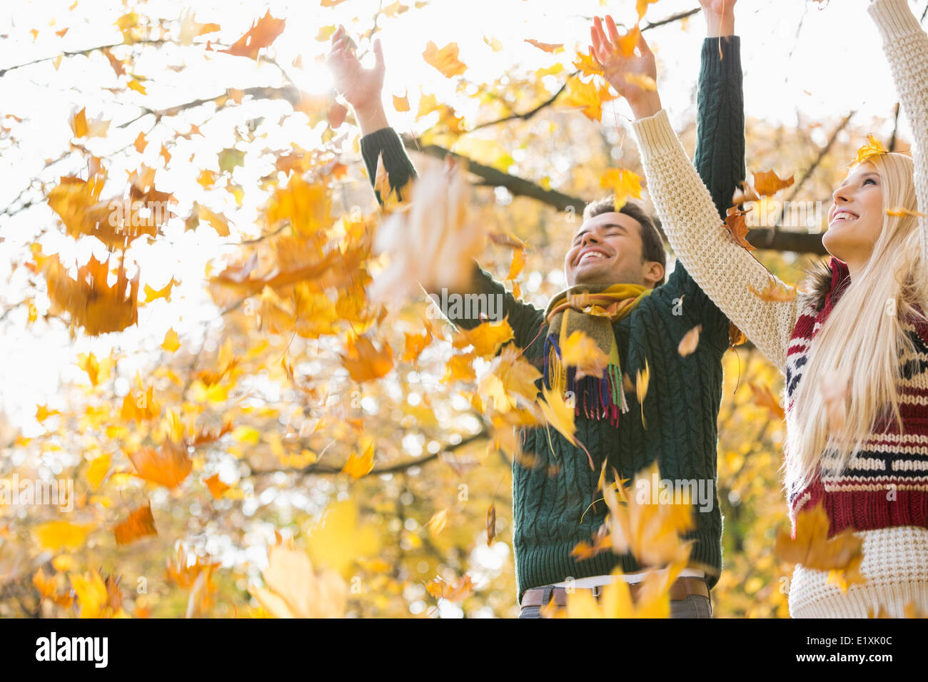 Falling leaves motion hi-res stock photography and images - Alamy