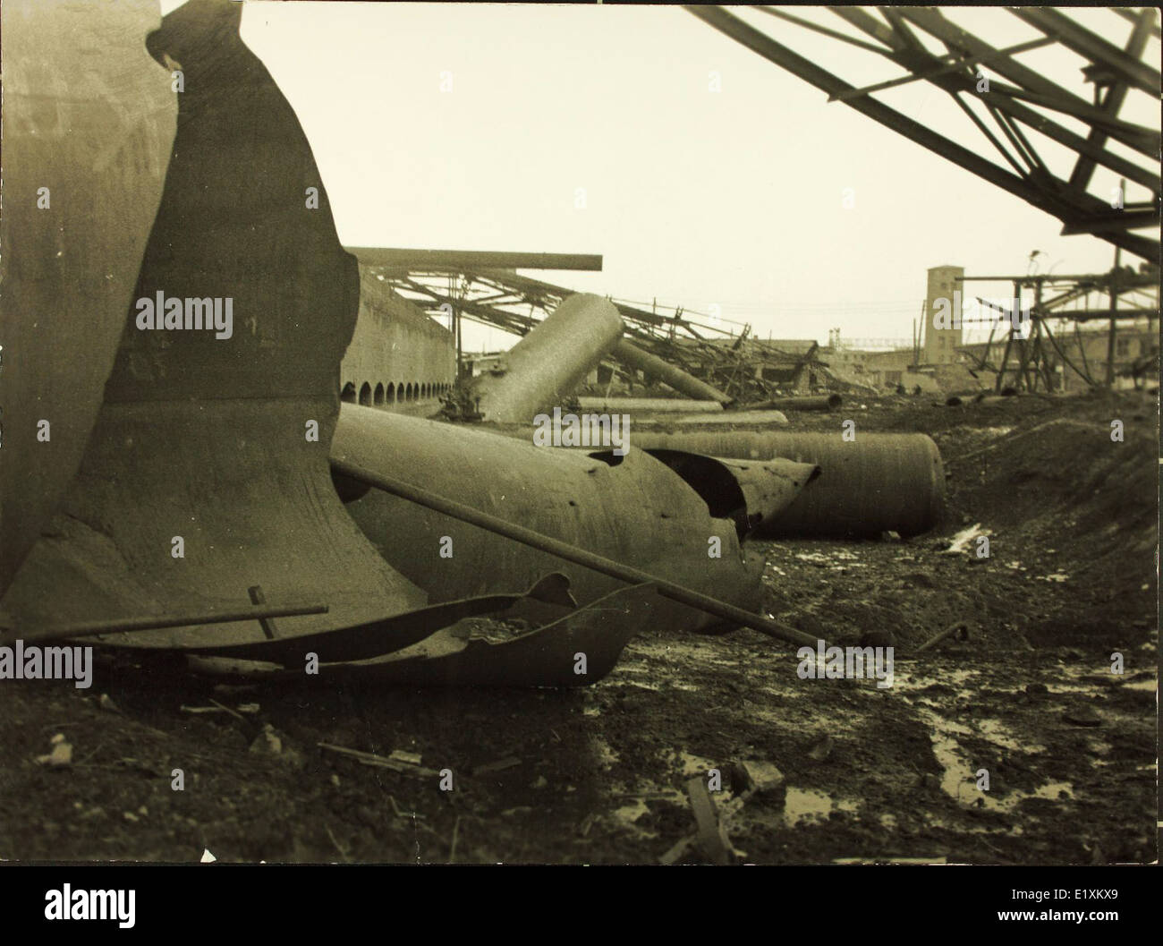 Brux Stock Photos & Brux Stock Images - Alamy