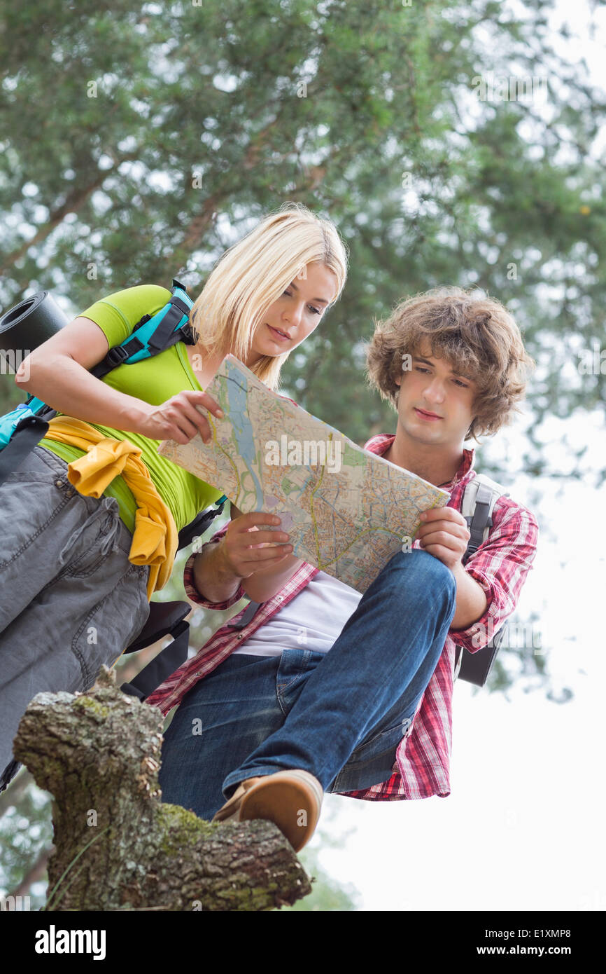 Map of the forest hi-res stock photography and images - Alamy