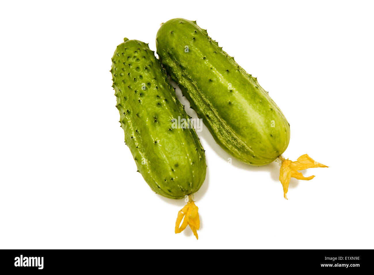 Foreground two Cut Out Stock Images & Pictures - Alamy