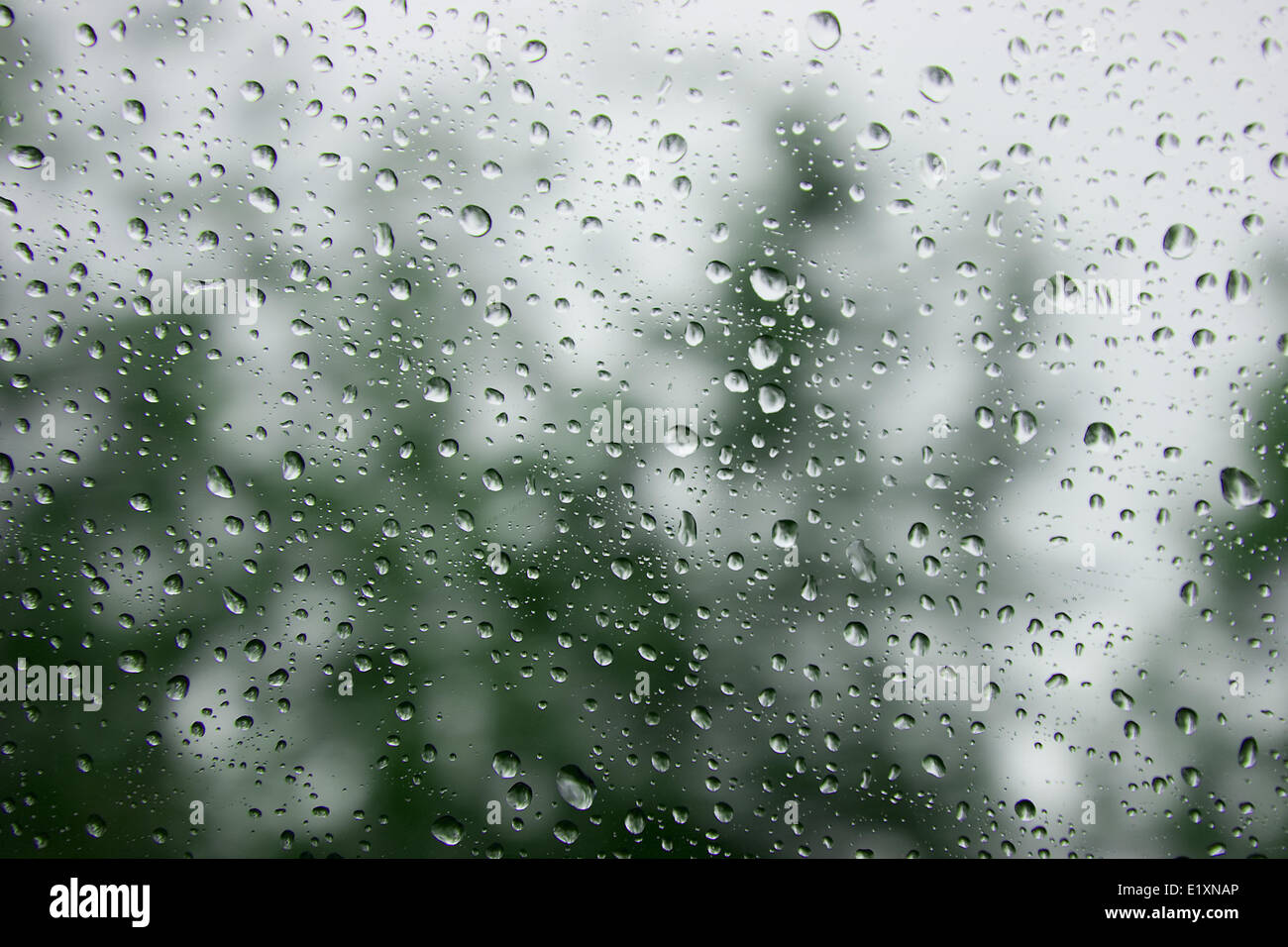 Rain drops horizontal hi-res stock photography and images - Alamy