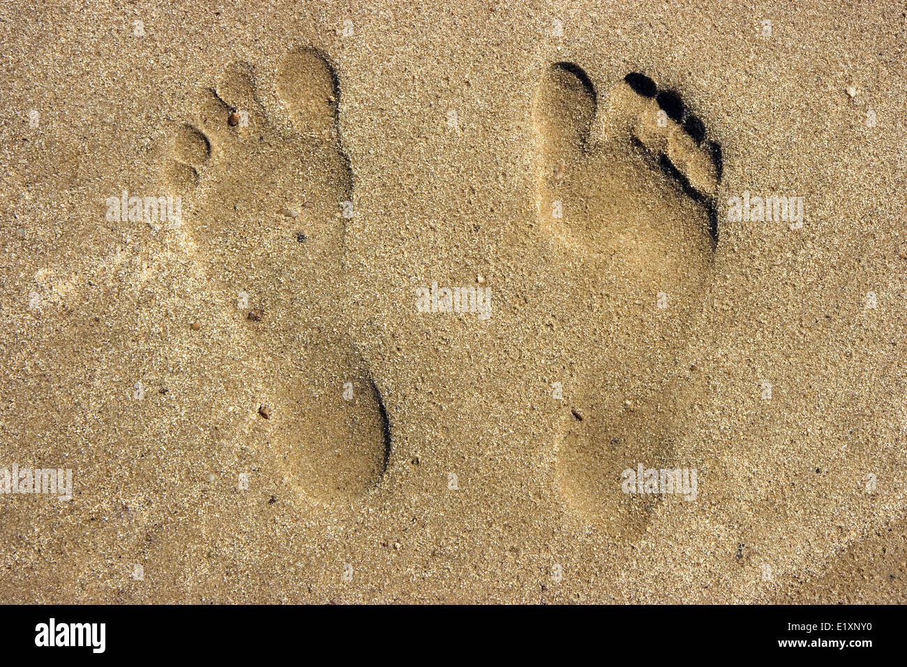 Traces on sand Stock Photo - Alamy