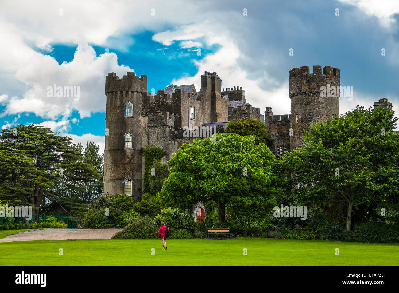Ireland, Dublin county, the Malahide castle and garden Stock Photo - Alamy
