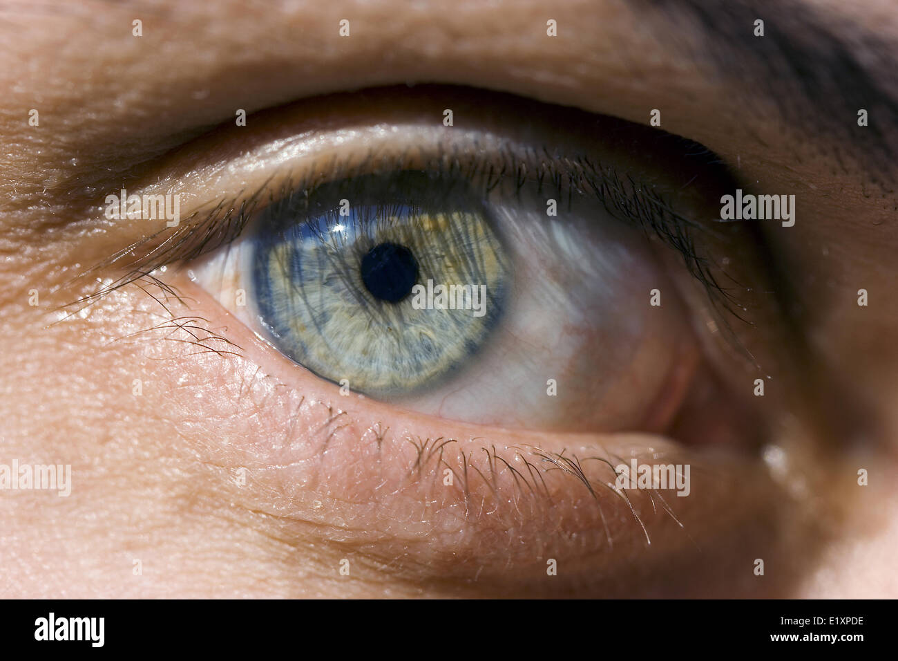 Human eye and reflection hi-res stock photography and images - Alamy