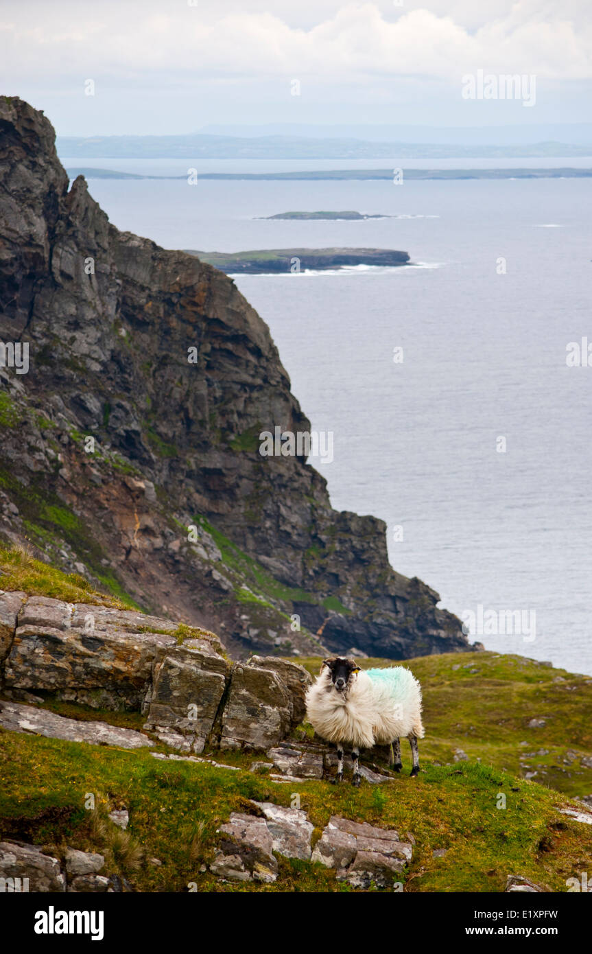 Irish face hi-res stock photography and images - Alamy