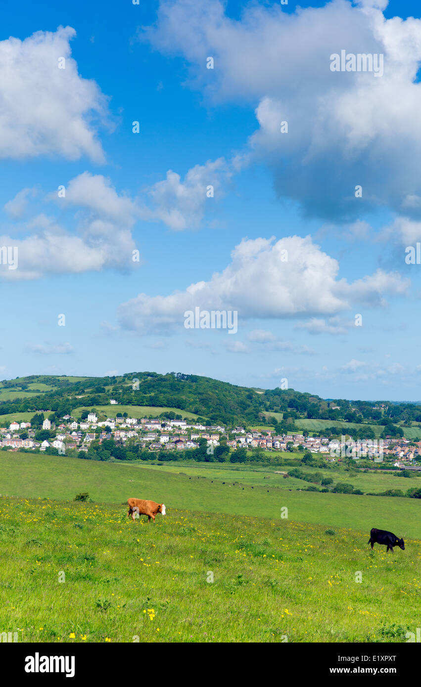 Brading Isle of Wight home to the Roman Villa tourist attraction near ...