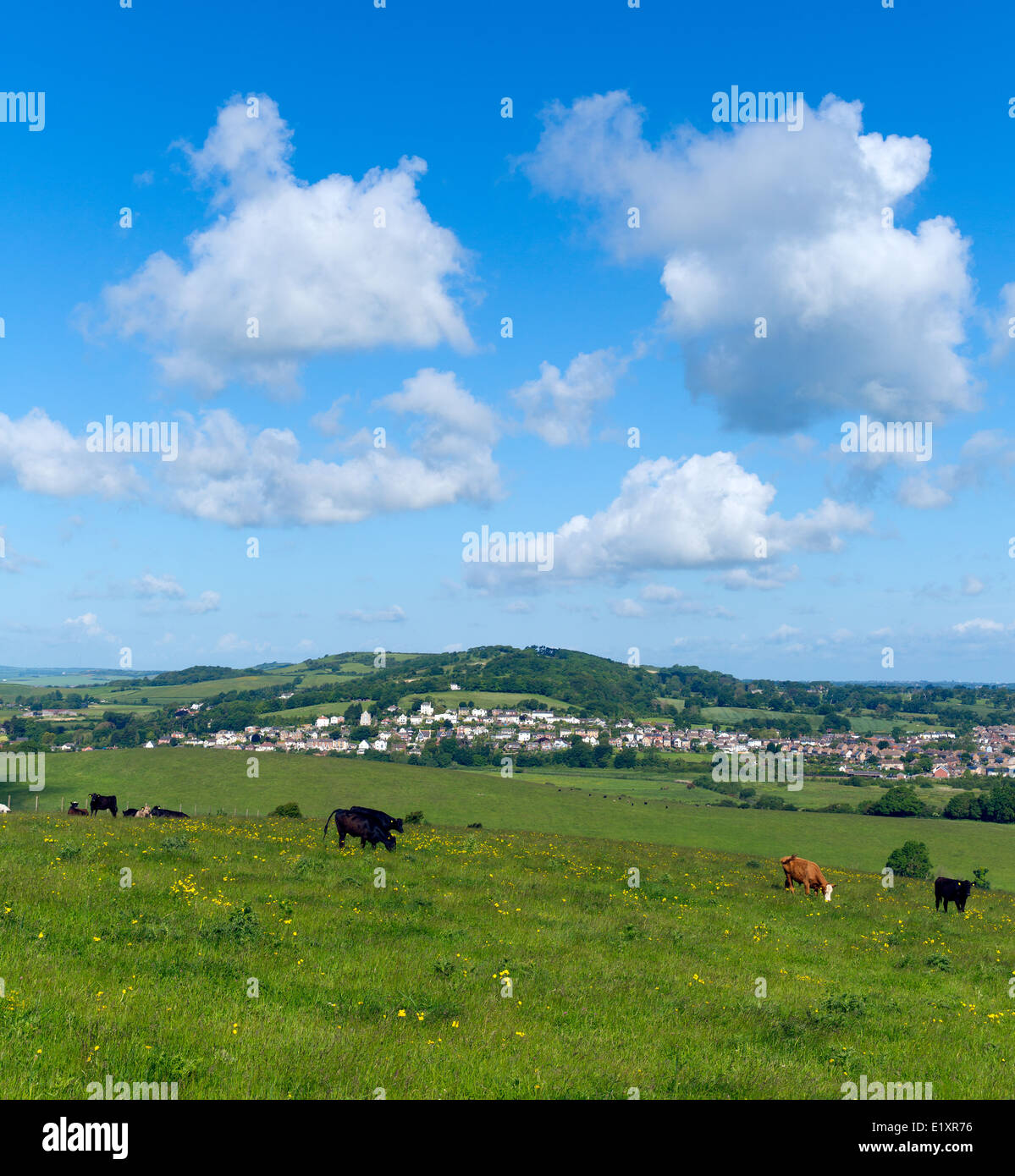 Brading Isle of Wight home to the Roman Villa tourist attraction near ...