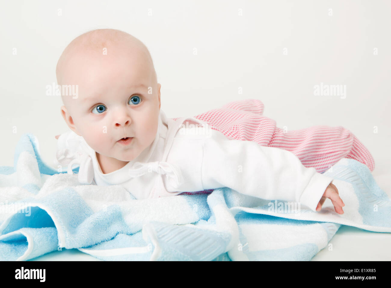 Blue eyed wonder hi-res stock photography and images - Alamy