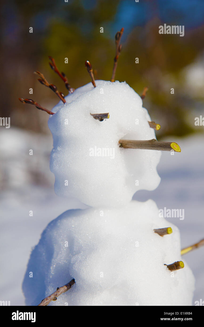 Portrait of a snowman Stock Photo - Alamy