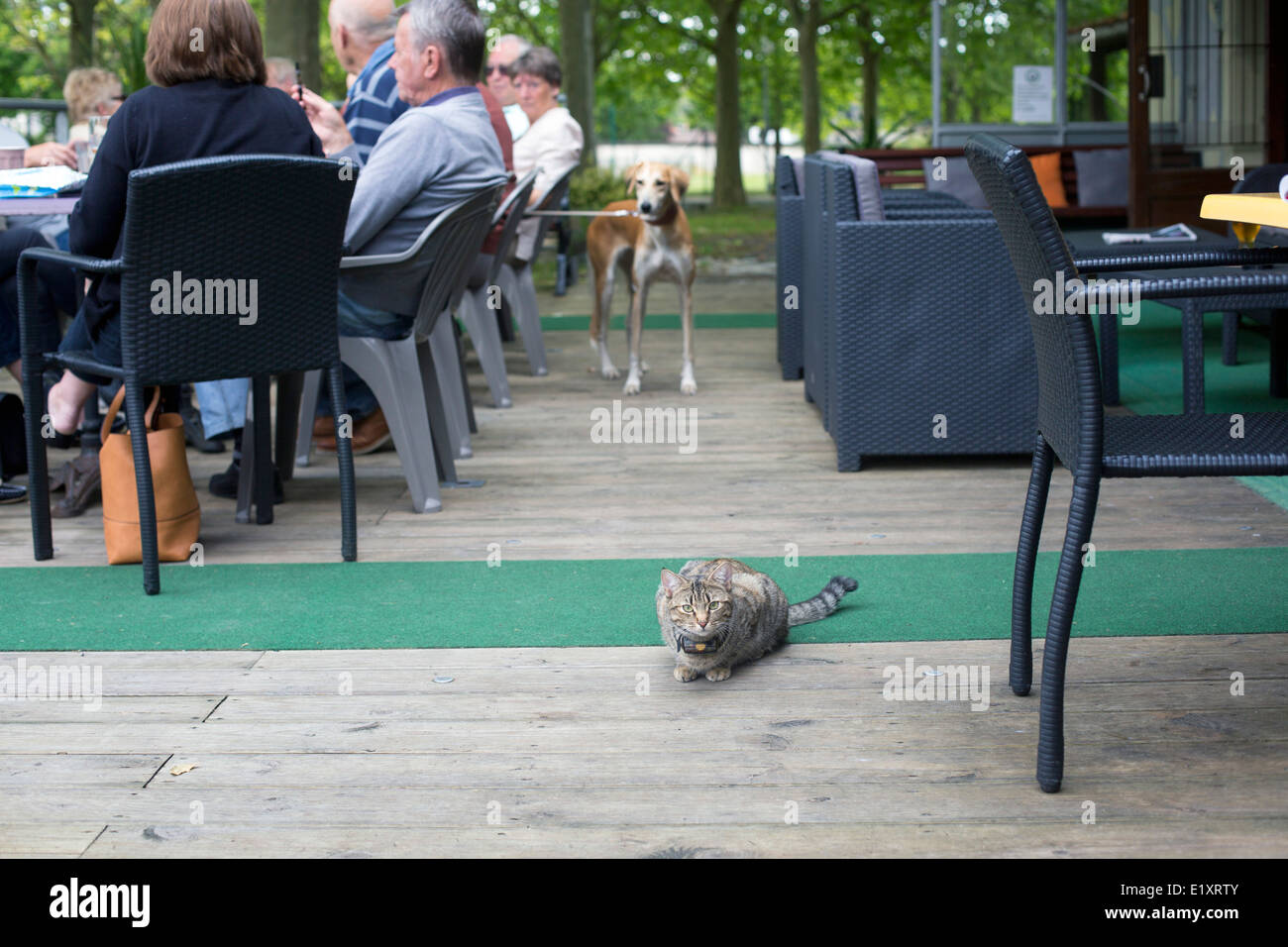 Cafe decking hi-res stock photography and images - Alamy