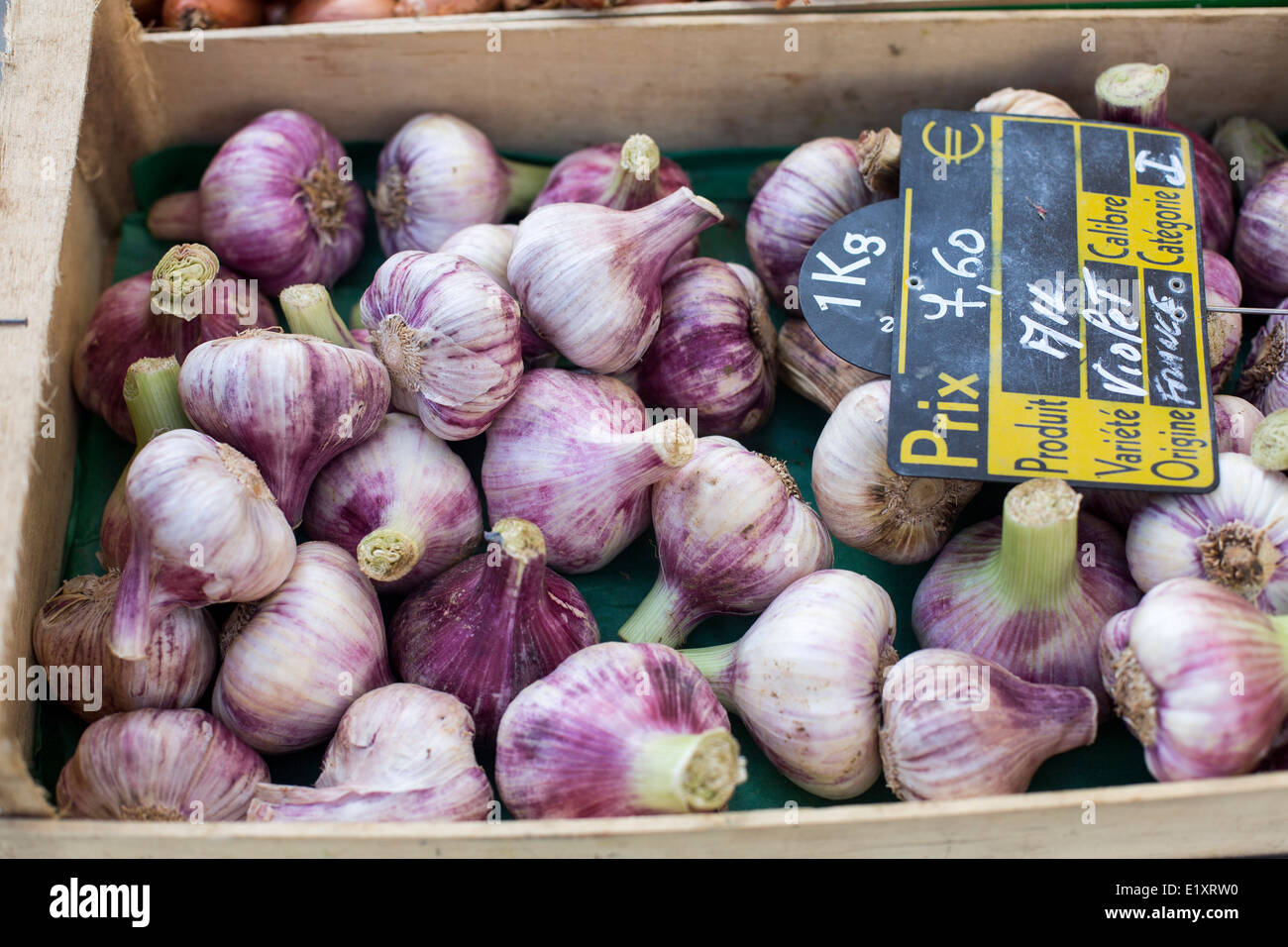 Garlic for sale hi-res stock photography and images - Alamy