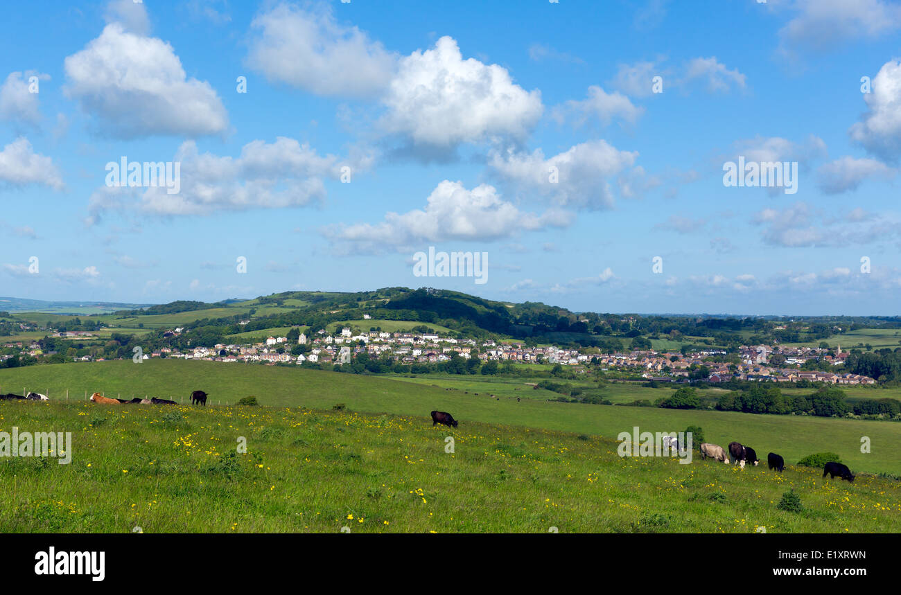 Brading Isle of Wight home to the Roman Villa tourist attraction near ...
