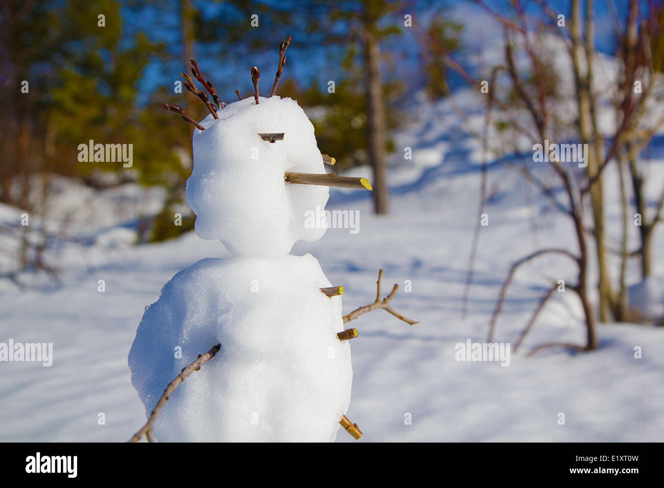 Portrait of a snowman Stock Photo - Alamy