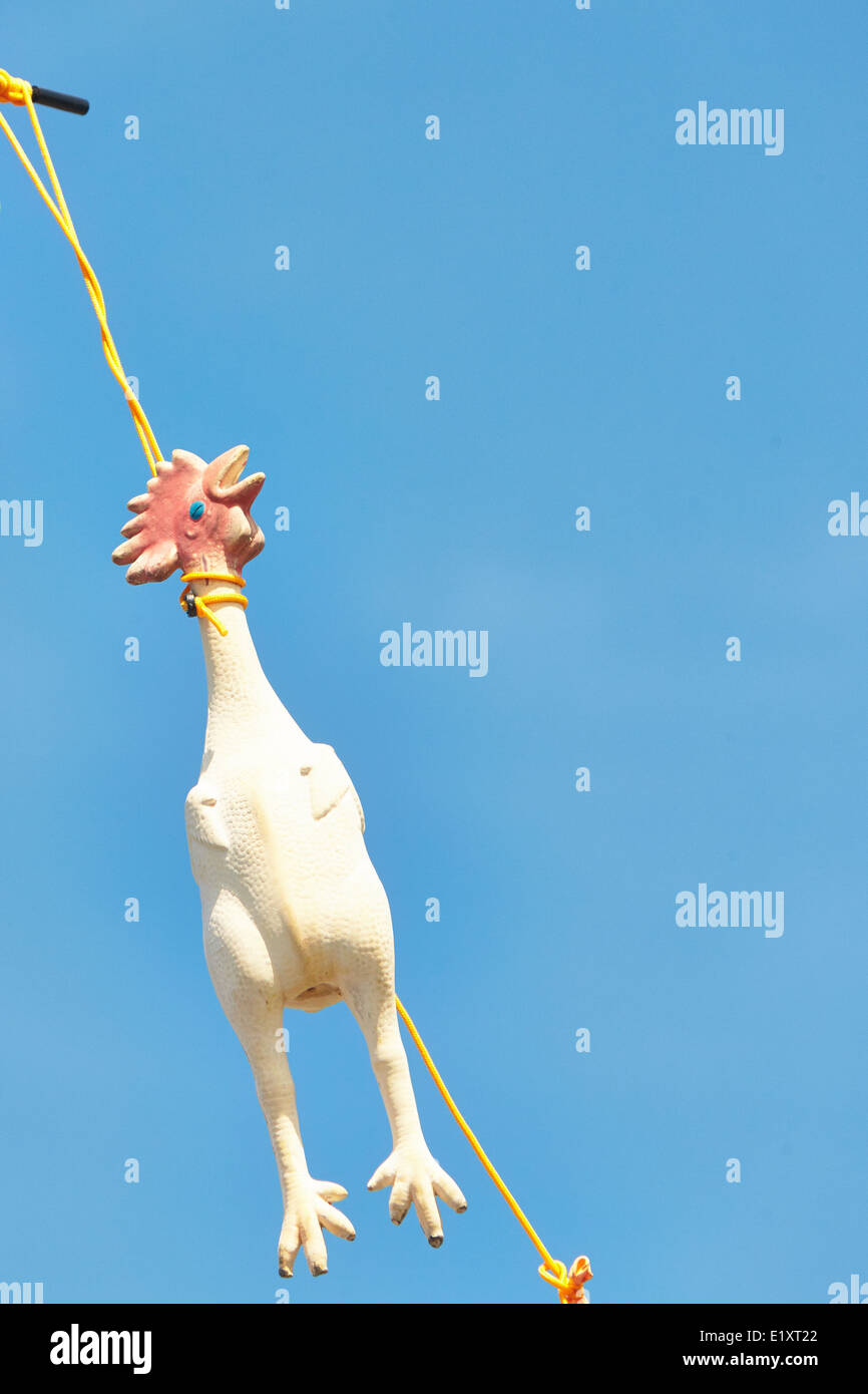 Rubber chicken hanging Stock Photo - Alamy