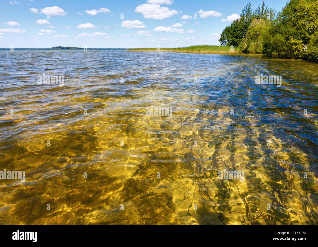 Summer lake view Stock Photo - Alamy