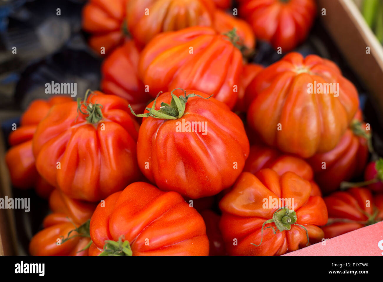 large beef tomatoes on sale in market Stock Photo - Alamy