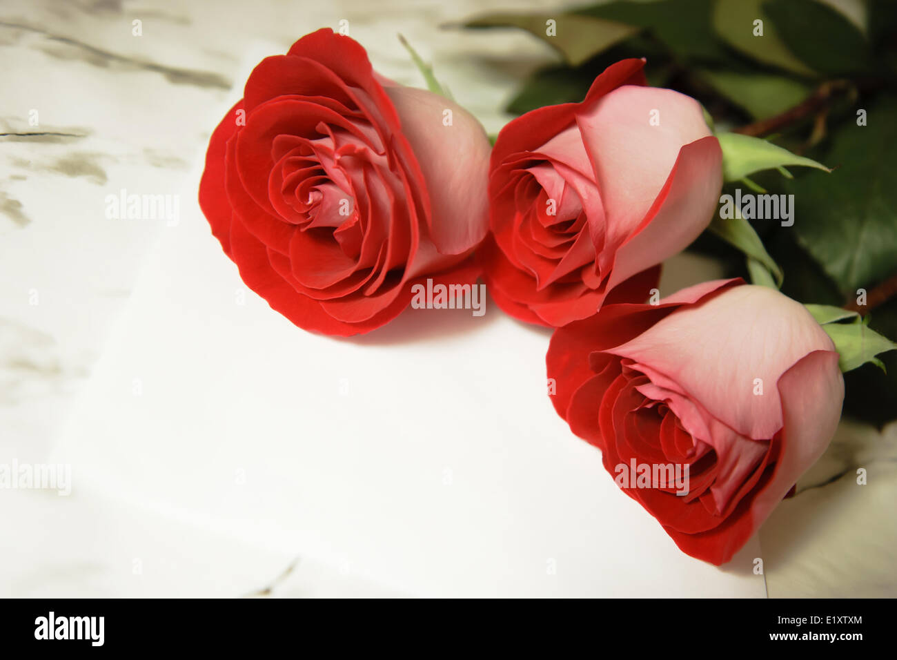 three red roses and a letter Stock Photo - Alamy