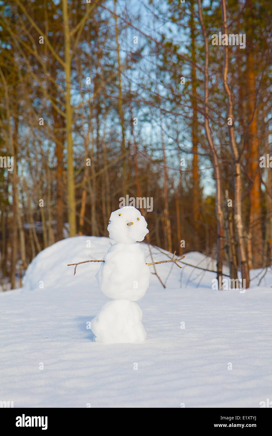 Snowman shadow hi-res stock photography and images - Alamy