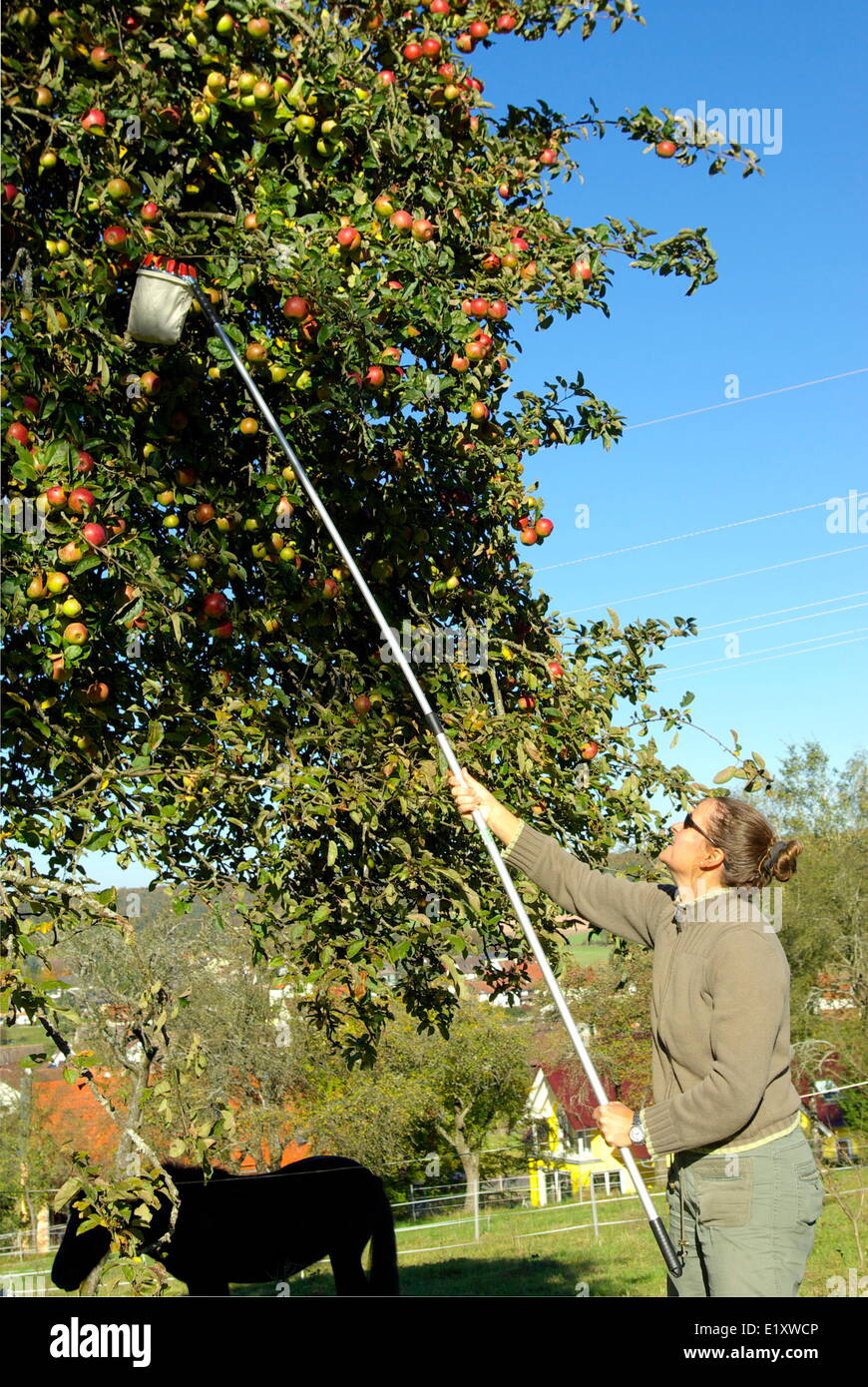 Deutsche ernte hi-res stock photography and images - Alamy