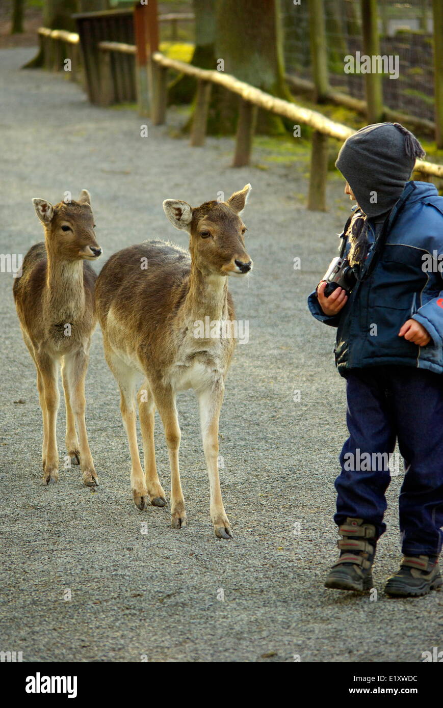 Single file hi-res stock photography and images - Alamy