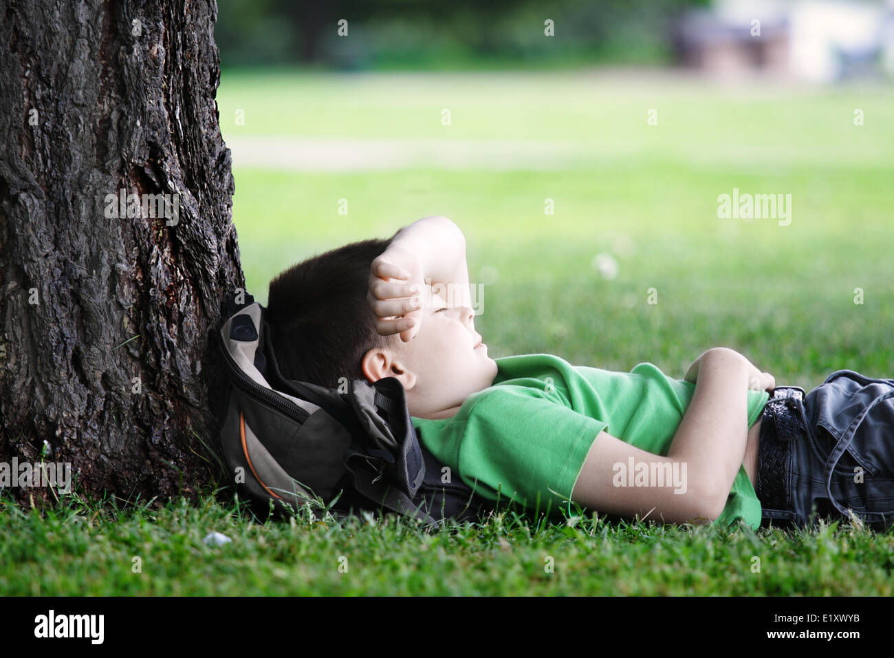 Person under tree hi-res stock photography and images - Alamy