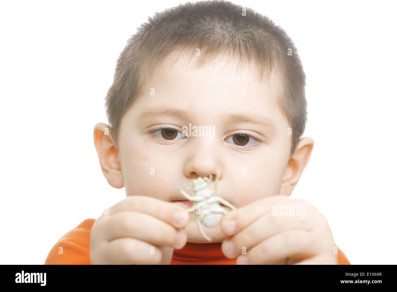 Boy holding beetle hi-res stock photography and images - Alamy