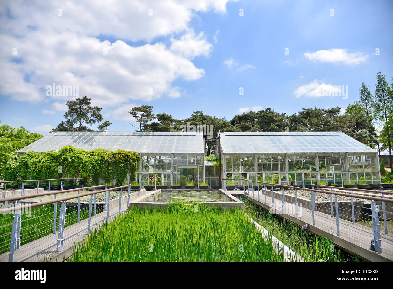 Green glass building hi-res stock photography and images - Alamy