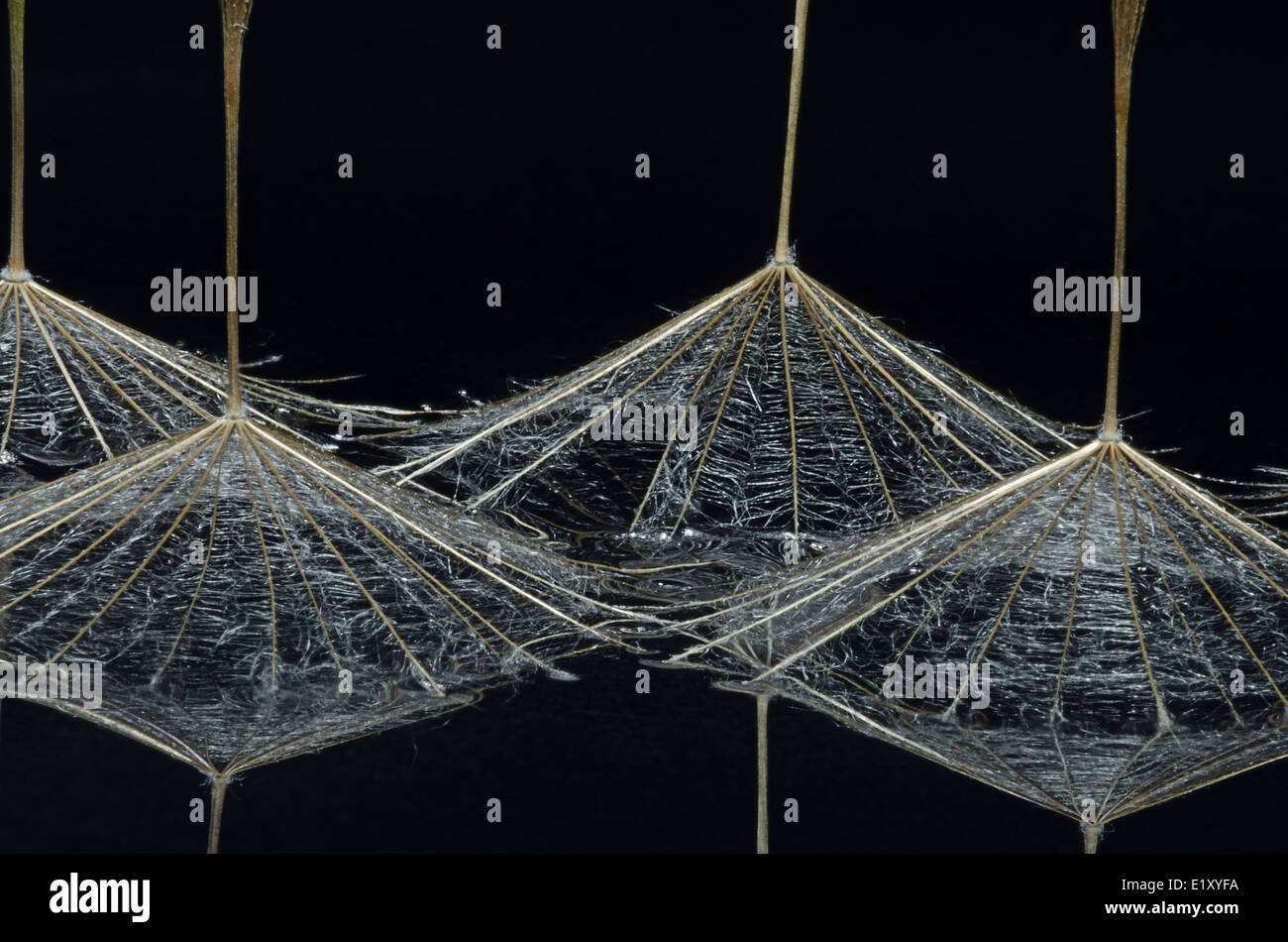 Sinking pyramid hi-res stock photography and images - Alamy