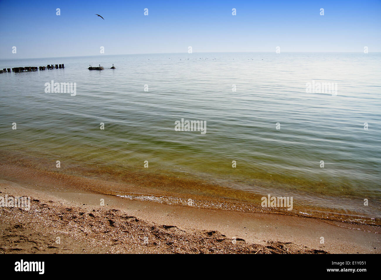 Sea azov hi-res stock photography and images - Alamy