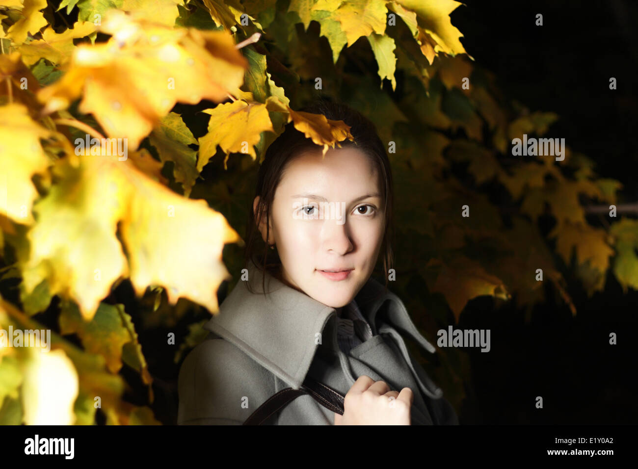 Under yellow leaves Stock Photo - Alamy
