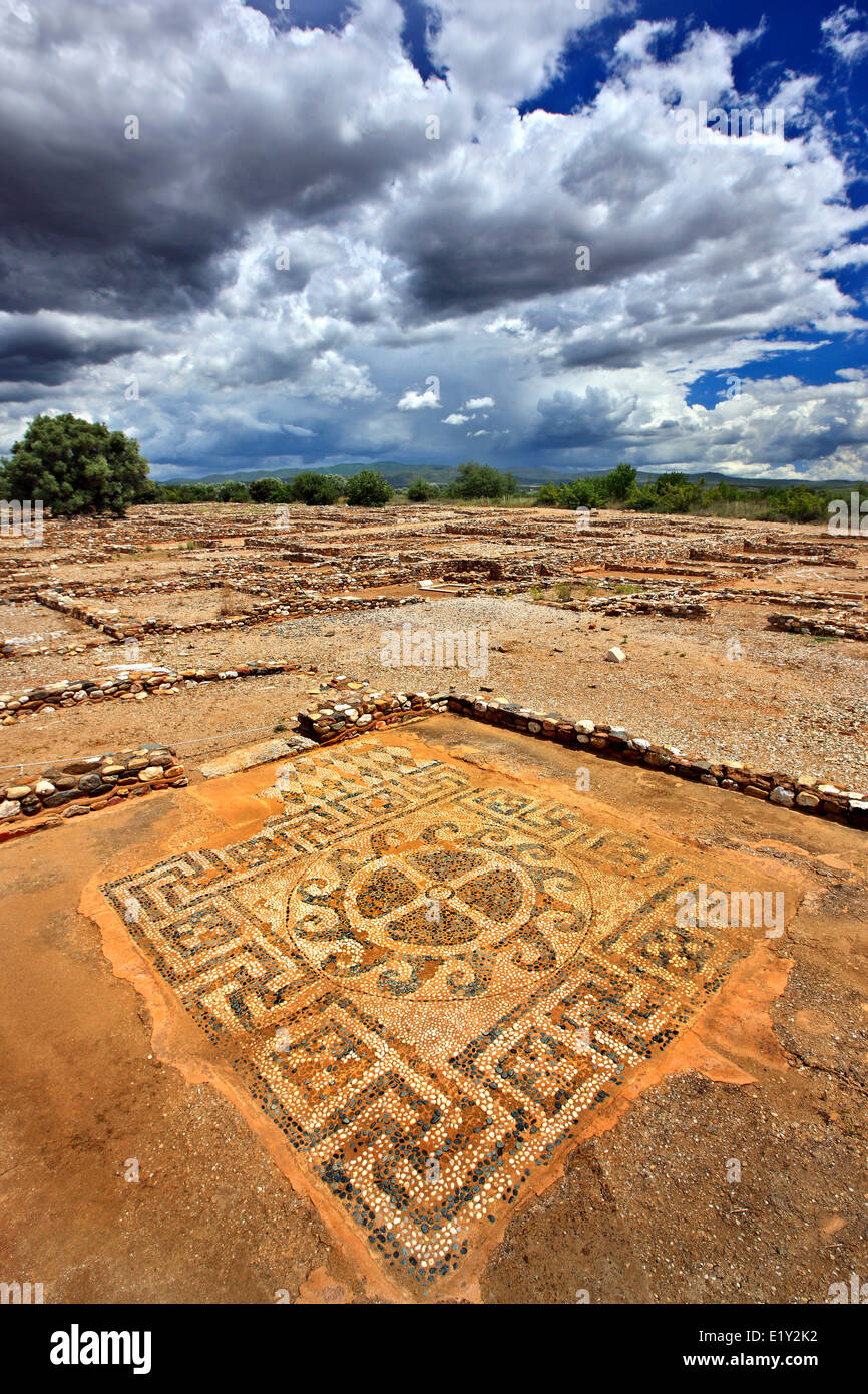 Beautiful mosaic at Ancient Olynthos (Olynthus), Polygyros municipality ...