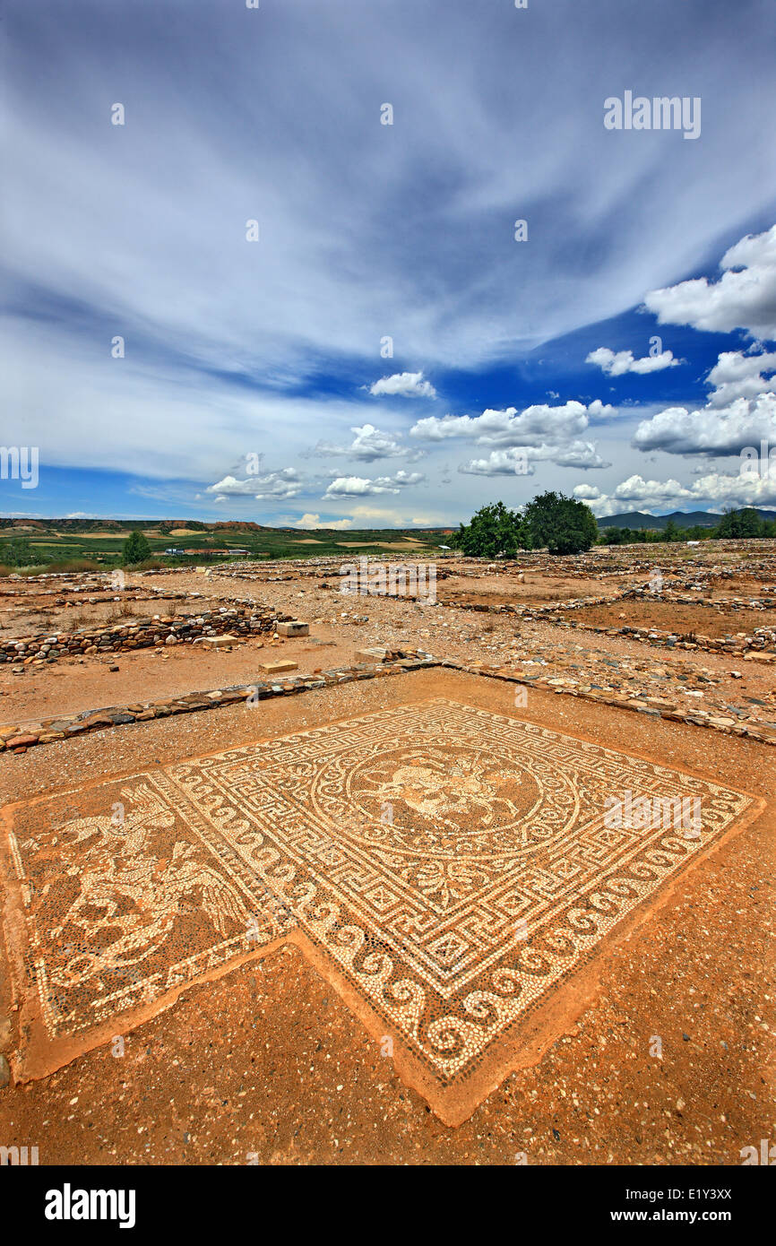 Beautiful mosaic at Ancient Olynthos (Olynthus), Polygyros municipality ...
