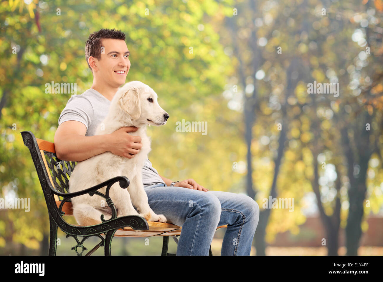 Man sitting on bench with a young dog in park Stock Photo - Alamy