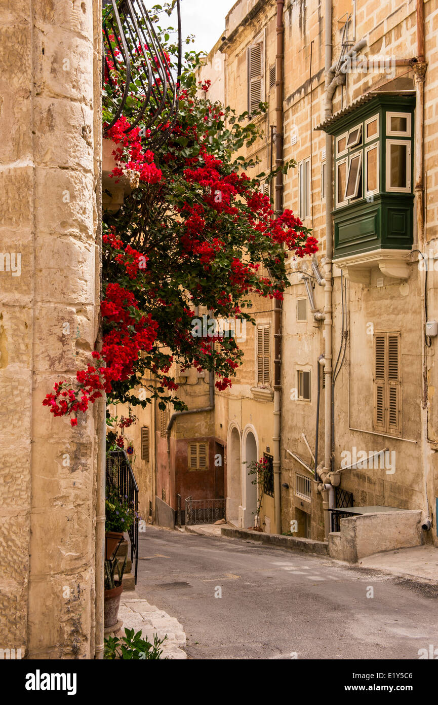 A typical street scene in the capital of Malta, Valletta Stock Photo ...