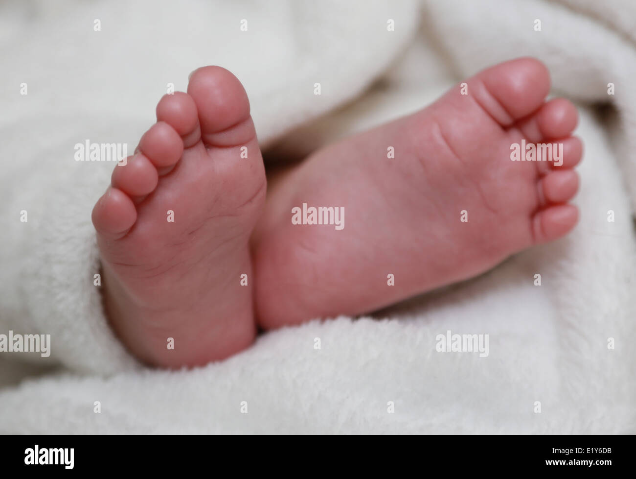 Newborn baby feet Stock Photo - Alamy