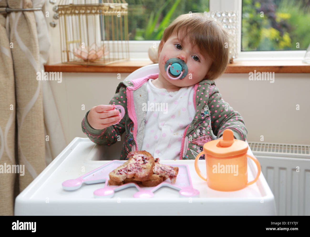 Toddler in highchair eating jam sandwiches Stock Photo - Alamy