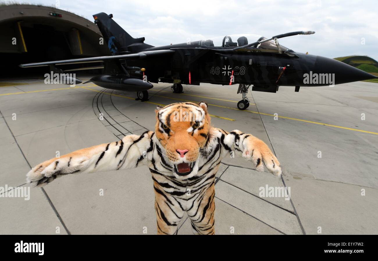 Jagel, Germany. 11th June, 2014. An Air Force soldier wears a tiger ...