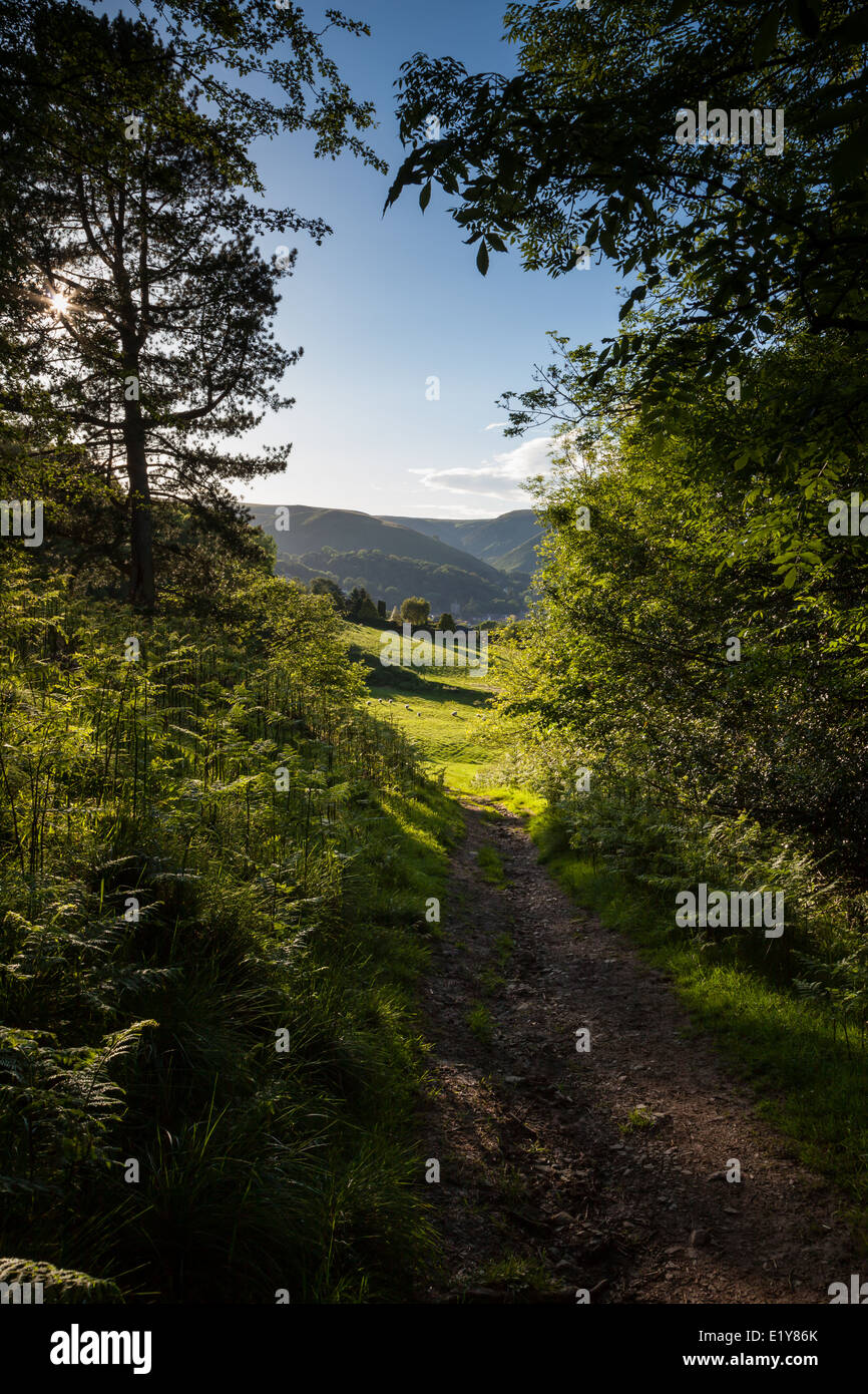 A footpath through the trees looking towards the Long Mynd at Church ...