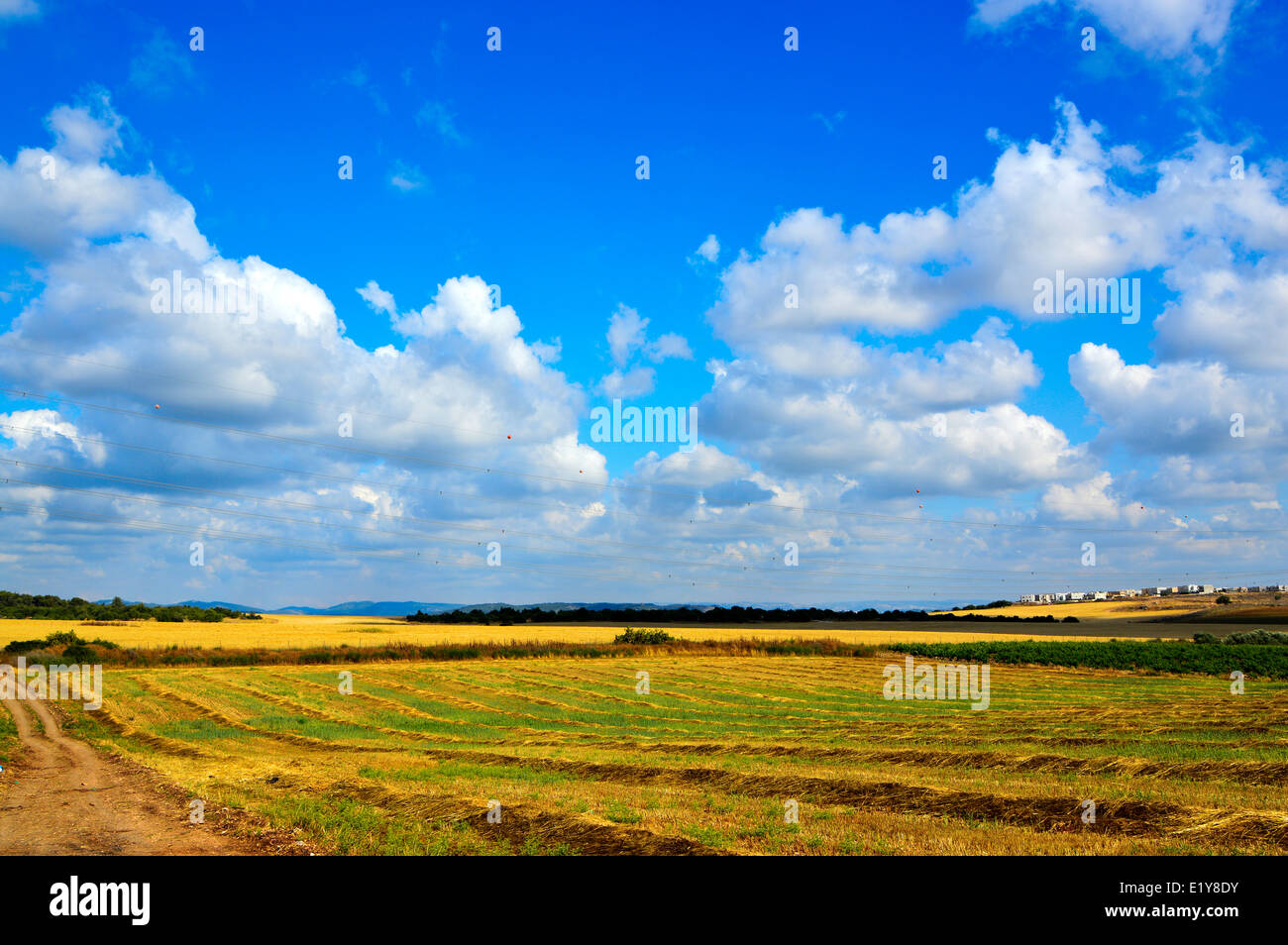 Rural spring landscape hi-res stock photography and images - Alamy