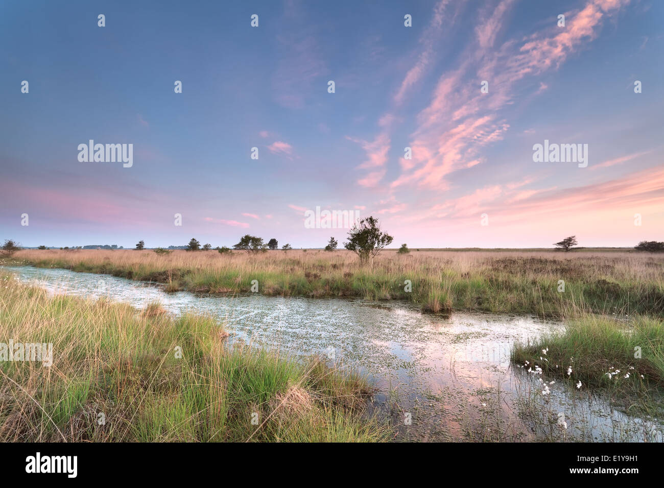 sunrise on marshes and swamp, Drenthe, Netherlands Stock Photo - Alamy