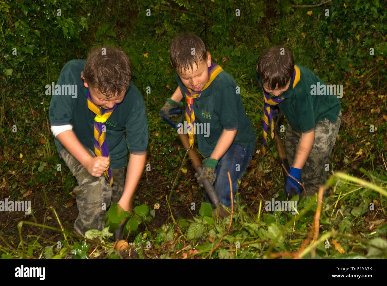 Cub uniform hi-res stock photography and images - Alamy