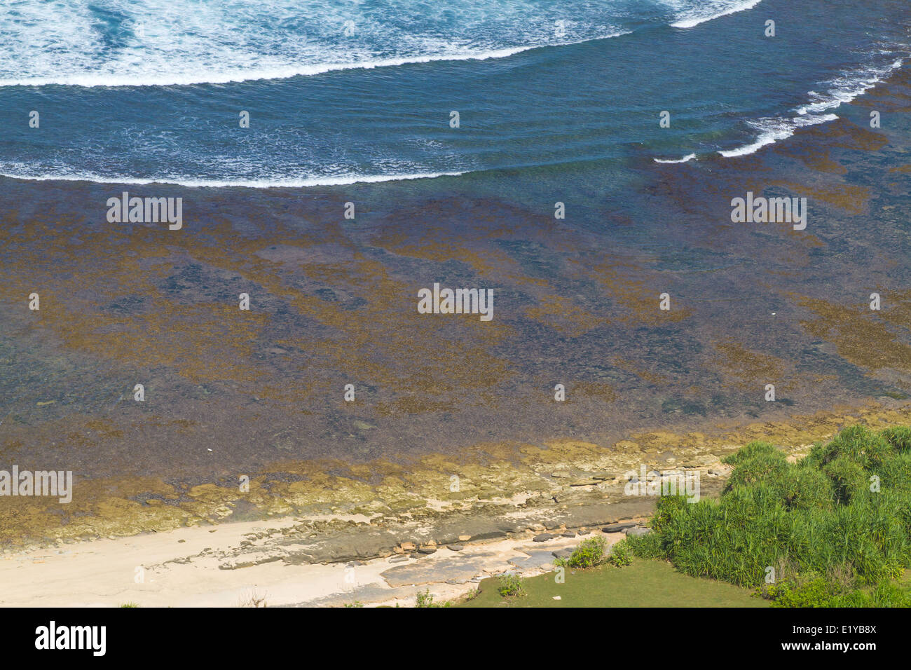 Ocean and sandy beach on a sunny day Stock Photo - Alamy